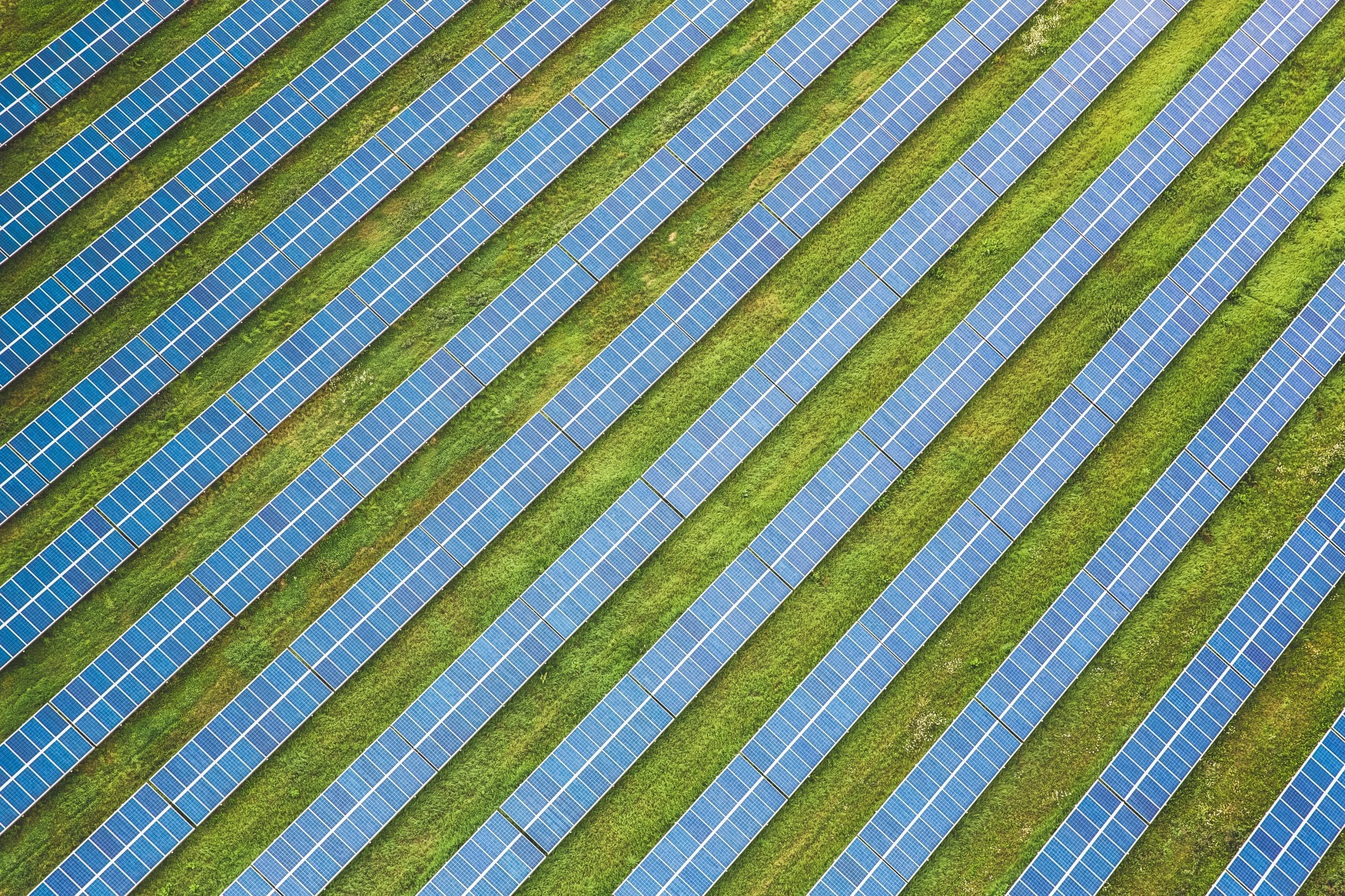 Dominican Republic inaugurates 50 MW solar farm - New Energy Events